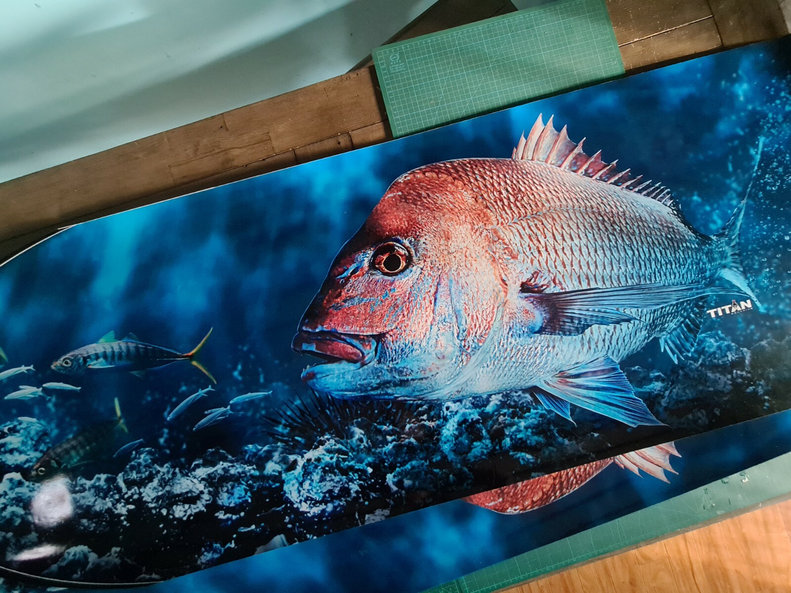 Boat Wrap - Snapper - Half Wrap 660mm x 2000mm | eBay Australia