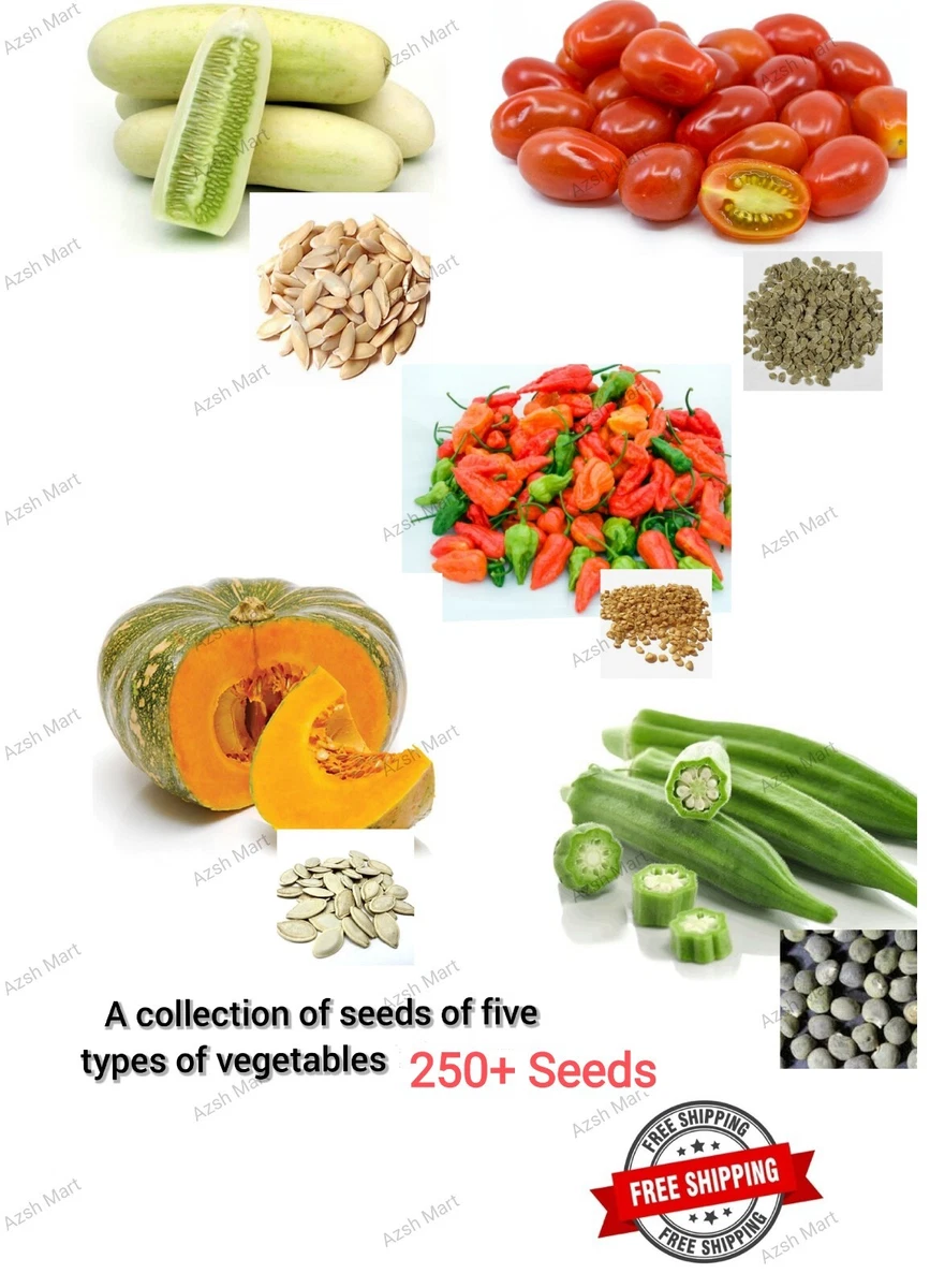 Vegetable List A Z With Pictures