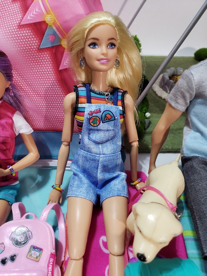 Barbie Ken Skipper Stacie And Chelsea Camping Lot | eBay