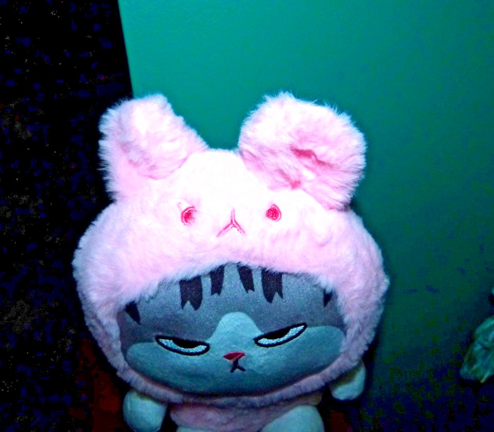 Angry Cat in Pink Bunny Suit Plush Stuffed Animal Gray White Black 9 ...