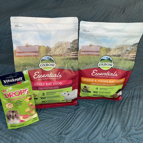 Pet Rat Food Starter Kit, Pet Rat Supplies, Pet Rat Needs | eBay