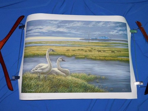 Shane Lamb Endicott Island Alaska Art Print Prudhoe Bay Oil Nesting ...