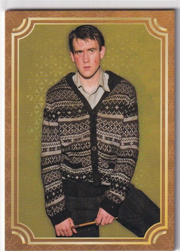 Panini Harry Potter Evoluzione Carte Da Gioco Carta Nr. 95 Neville ...