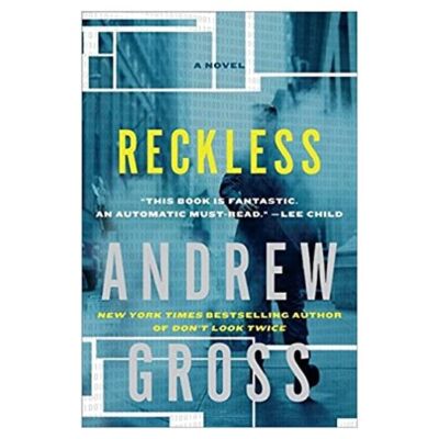 Reckless: A Novel (Hardcover) 9780061655951| eBay