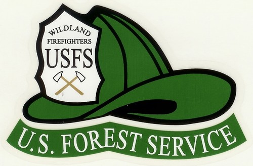 NEW 10 FOREST SERVICE FIRE HELMET STICKER DECALS NEW | eBay