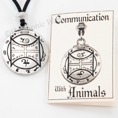 Animal Talisman Necklace COMMUNICATION with ANIMALS amulet Psychic ...