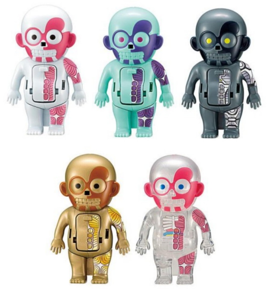 Dokidoki human body model mini x all 5 types set full complete gacha ...