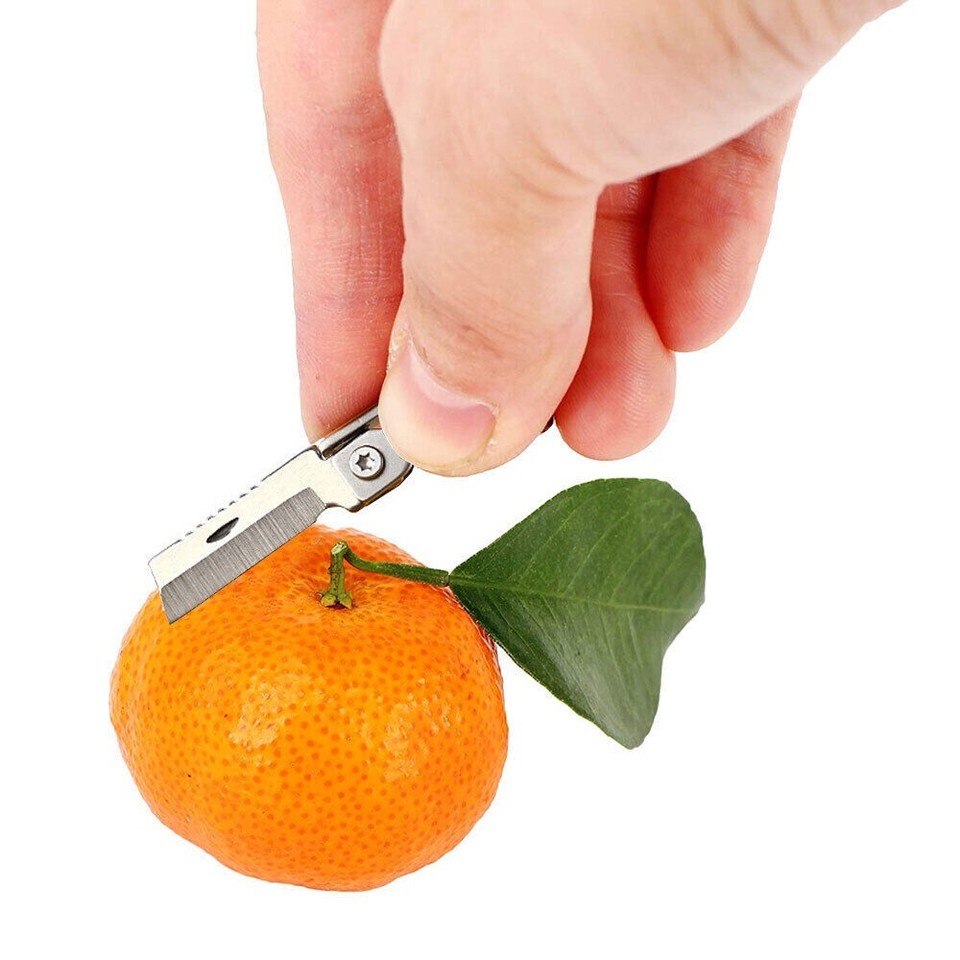 Mini Folding Knife Stainless Steel Pocket Key Chain | eBay