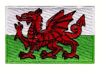🔥Wales Welsh Flag Embroidered Patch Sew Iron On Red Dragon Cardiff Emblem Badge | eBay