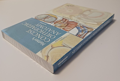 Netters Orthopedic Anatomy