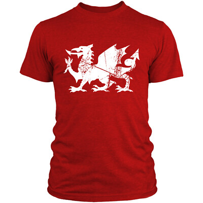 Wales Dragon T Shirt Rugby Football Men Women Kids 6 Nations Red Top ...