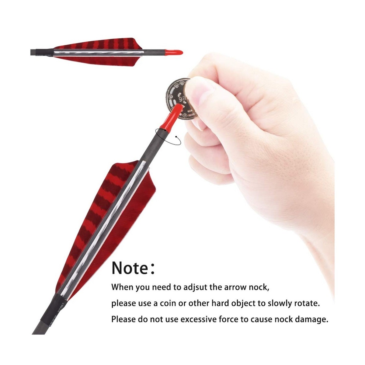 Carbon Arrows 12-Pack Pure 30 Inch 600 Spine - Turkey Feather Fletching ...