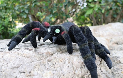 Goliath Birdeater Spider 8 Inch Stuffed Insect Animal Plush Toys Doll ...