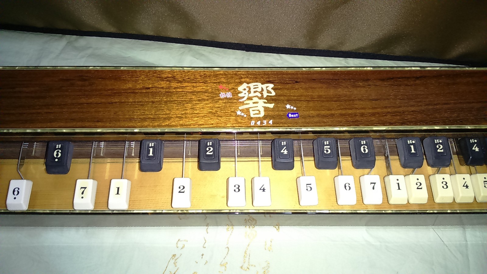 ECHO Beautiful Acoustic Taisho Koto (Taishogoto) + Semi-Hard Case | eBay