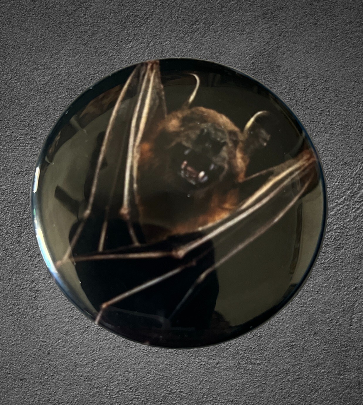 BAT BATS Nosferatu Vampire Button Pin Pinback Badge - Horror - Gothic ...