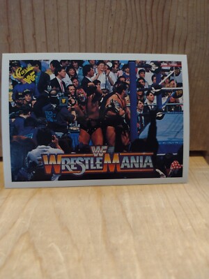 1990 WWF WRESTLE MANIA #46 STRIKE FORCE / DEMOLITION Q1 | eBay