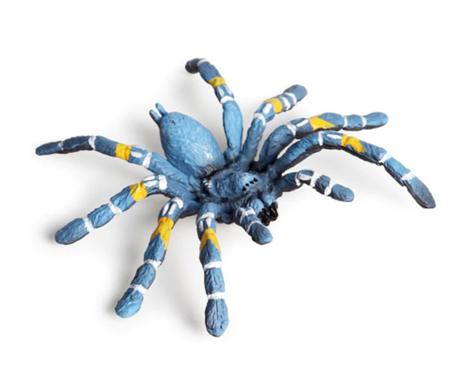 10.5cm Spider PVC Toy Insects Animal Figure Kids Gift | eBay