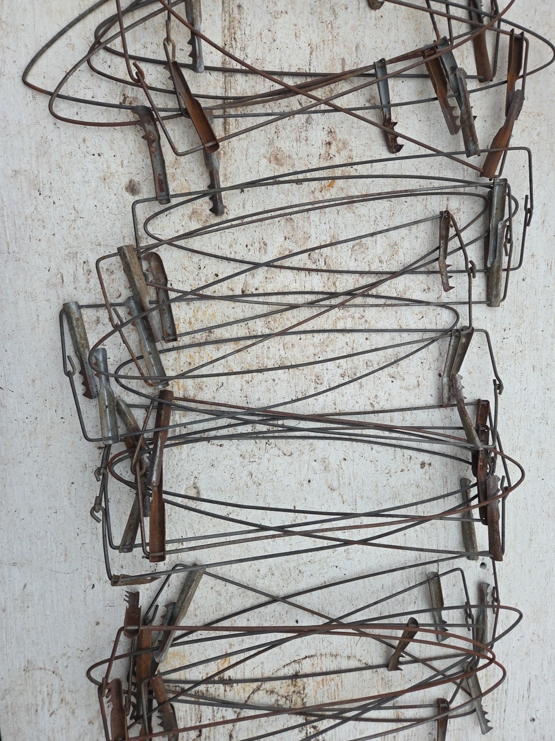 Lot of 24 used wire Muskrat Stretchers trapping fur pelt Trap Stretcher ...