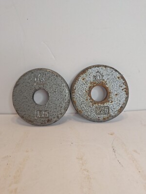 Standard Size Barbell Weights - Pair 1.25 Lb Plates home gym Pancake ...