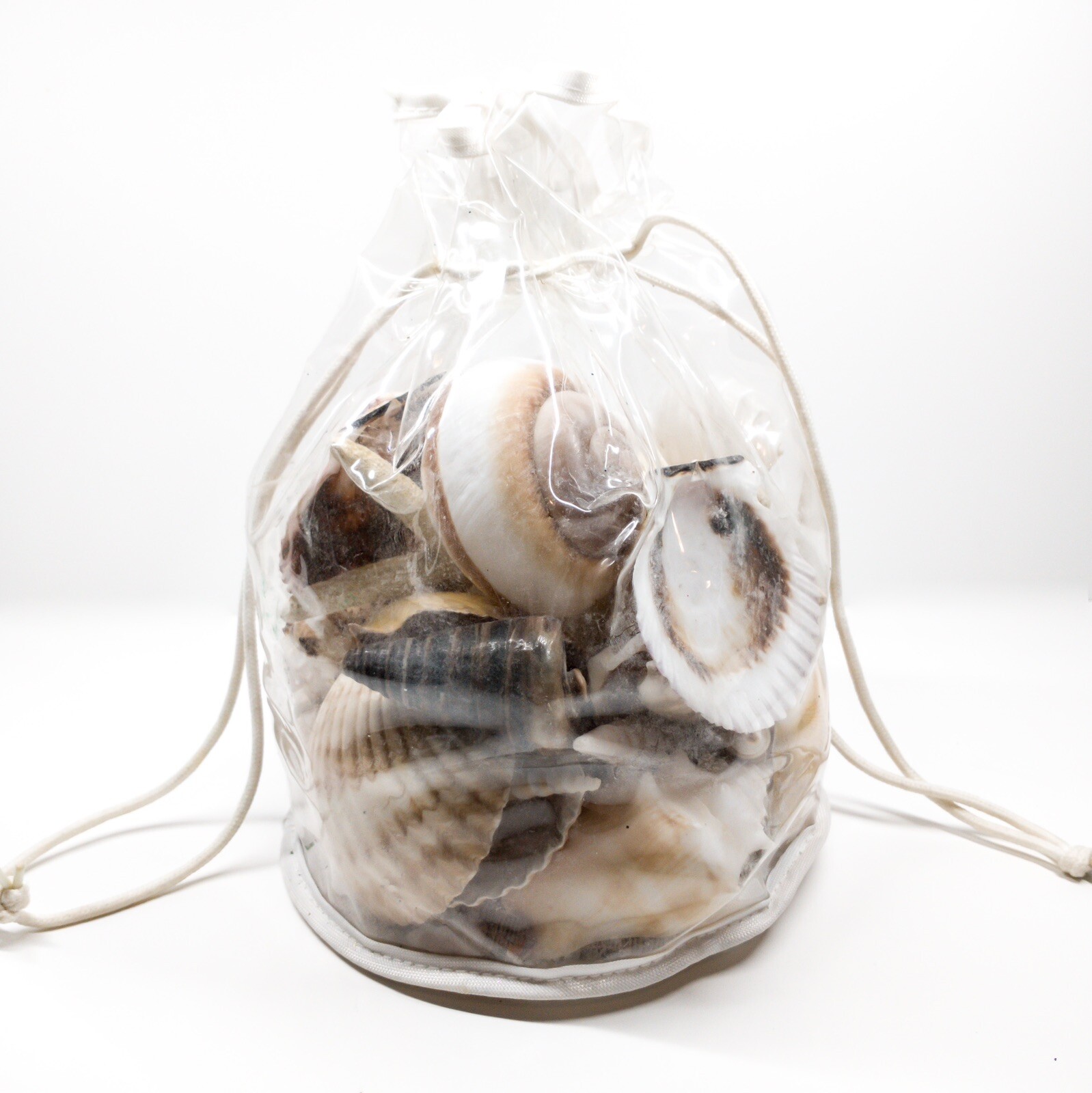 Bag of Natural Beach Sea Shells Vase Filler Decoration - 30oz In Bag ...