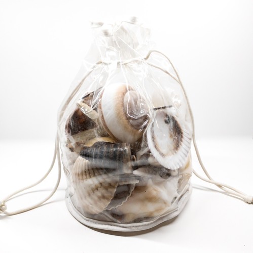Bag of Natural Beach Sea Shells Vase Filler Decoration - 30oz In Bag ...