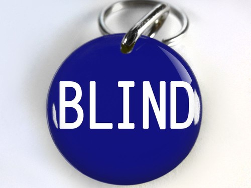 Blind Dog ID TAG Pet tag cat tag customized with your pet info | eBay