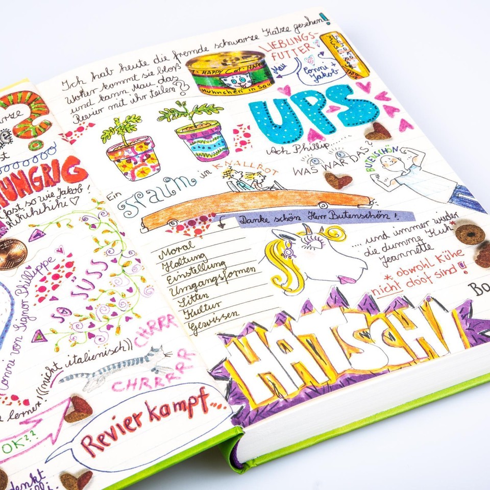 Conni & Co 16: Conni, Phillip und das Katzenteam | Dagmar Hoßfeld ...