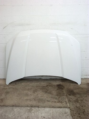 Ford F150 Hood Panel Bonnet Assembly YZ WHite 2015 2016 2017 2018 2019 ...