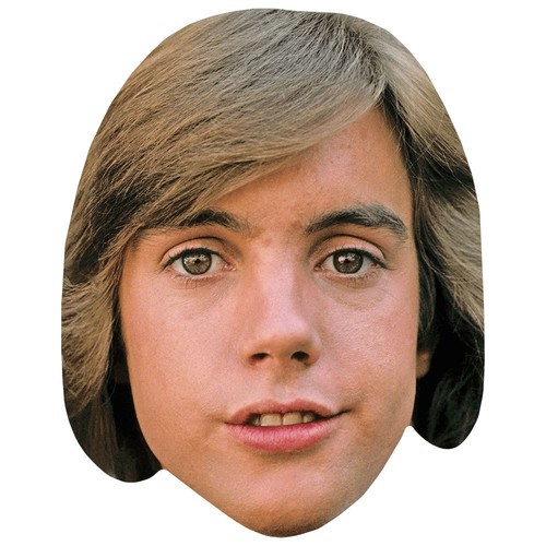 Shaun Cassidy (70s) Big Head. Masque plus grand que nature ...