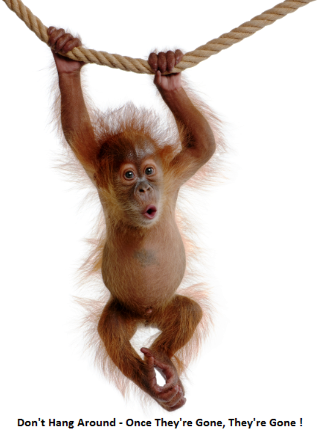 L758 Intercall Nurse Call Audio Display Unit For Intercall 700 ...