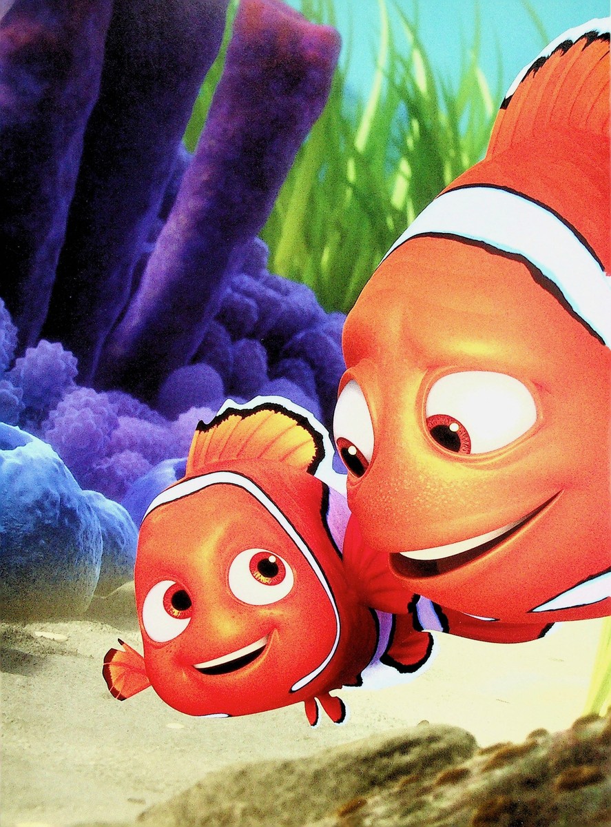 Finding Nemo Marlin And Dory
