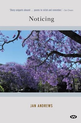 Noticing by Jan Andrews Paperback Book | eBay