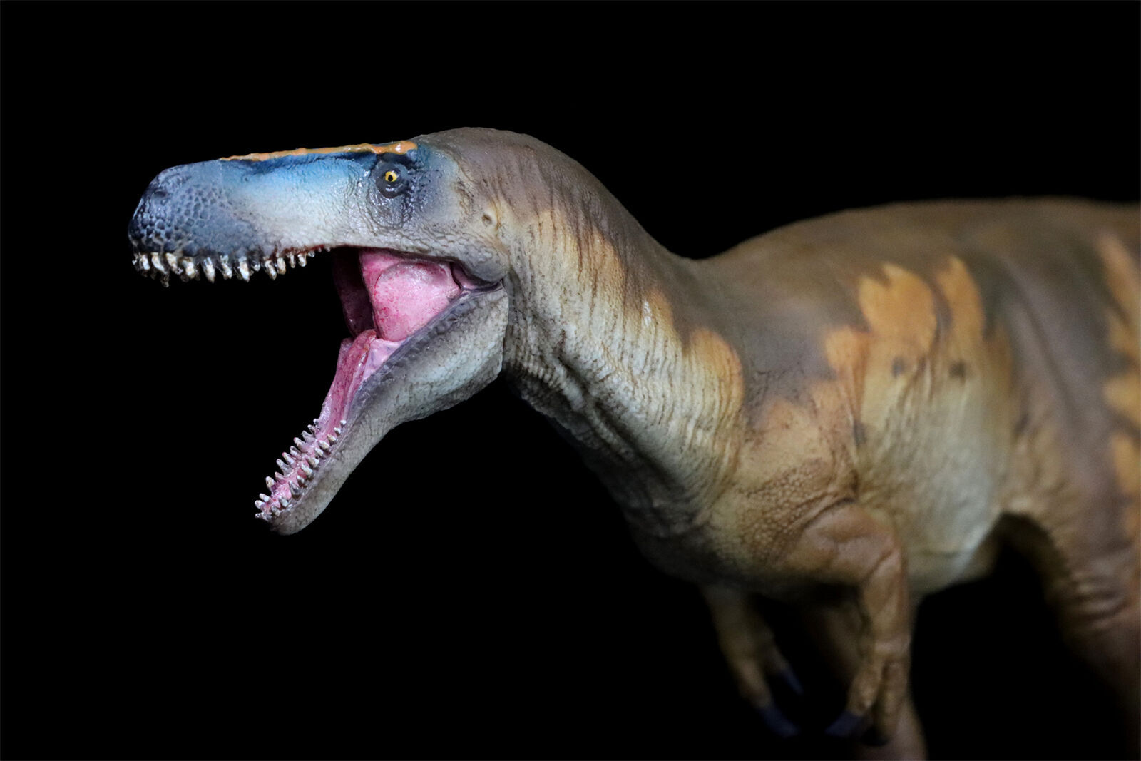 PNSO 74 Megalosaurus Edward Teratosaurus Model Prehistoric Animal ...