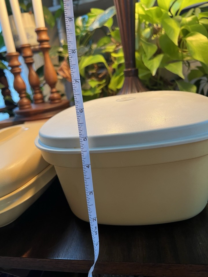Vintage Tupperware Microwave Steamer Set - 2 Pieces with Lids (Made in ...