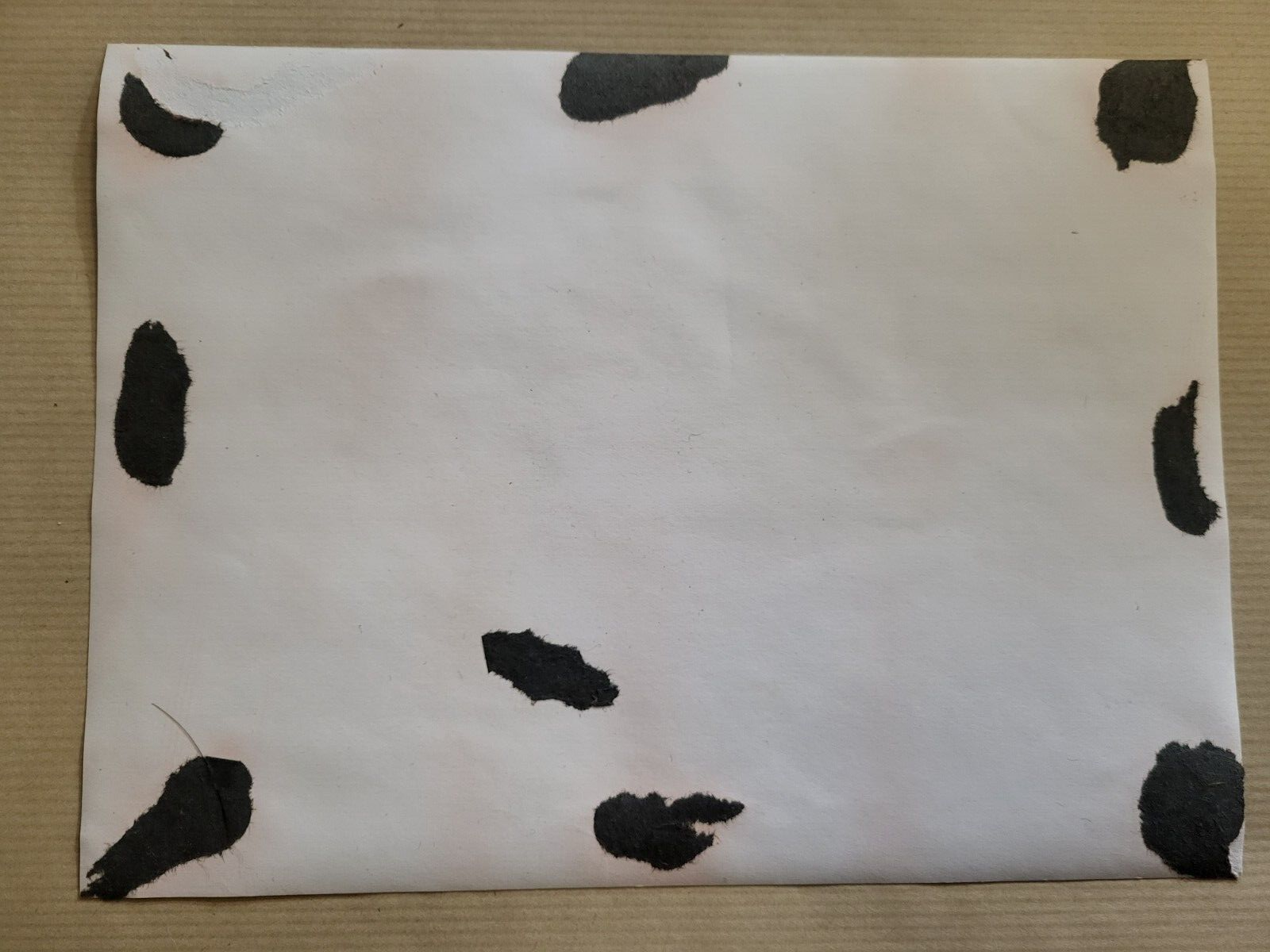 Cabaret Mayol photographie 24 x 17 cm nu strip-tease music-hall | eBay