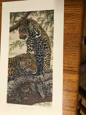 Dennis Curry "natures patterns" original mylar print | eBay