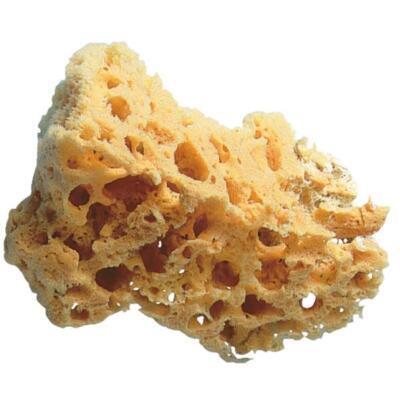 (8)-Trimaco 5 In. to 6 In. Painting Sponge natural grass sea sponge ...