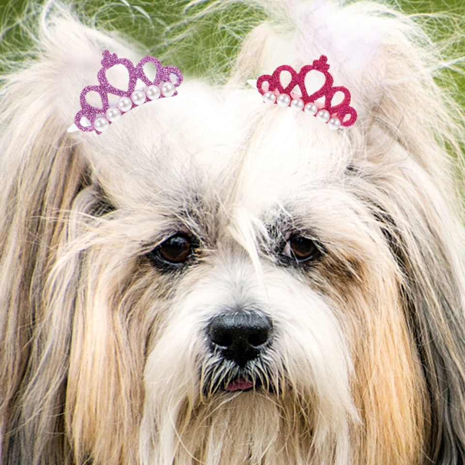 30 Pcs Dog Crown Puppy Accessory Hair Decoration Cute Shape Hairpin ...