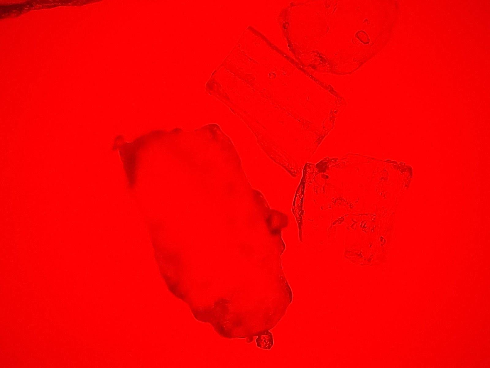 Microscope 32mm Mini-Rheinberg Red Filter Set - Great To Start Or To ...