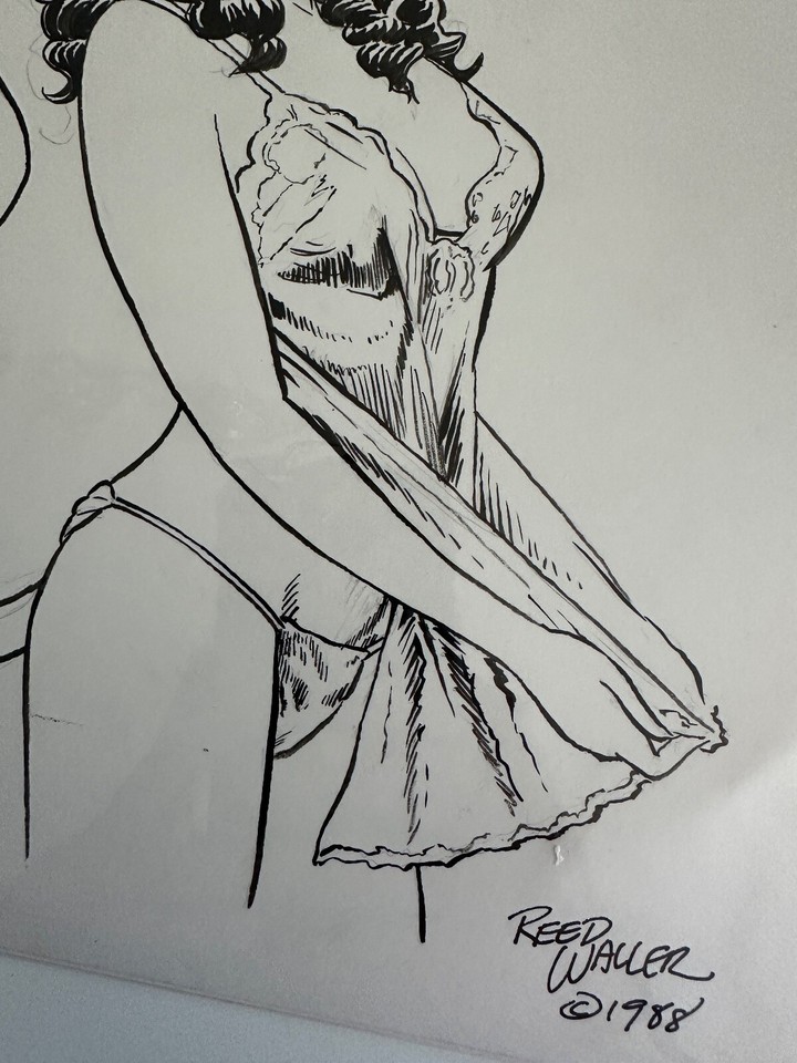 Reed Waller ORIGINAL SKETCH ART 1988 Omaha Cat Pin-Up Kate Worley ...