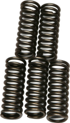 EBC CSK73 CSK Clutch Spring Kit | eBay