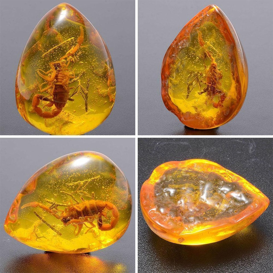 1 x Beautiful Amber Scorpion Fossil Insects Manual St. Natural am ...