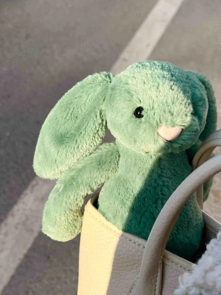 Bashful Green Bunny Rabbit Jelly Cat Soft Plush Doll Soft Sweet Stuffed ...