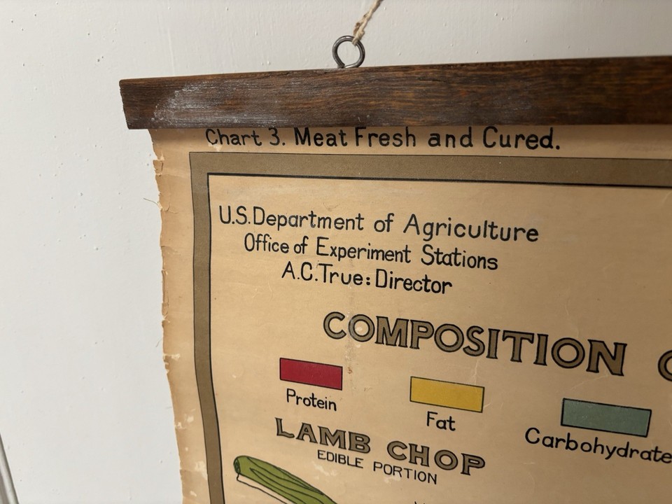 Composition of Food Materials Dept of Agriculture Poster 1914 | eBay