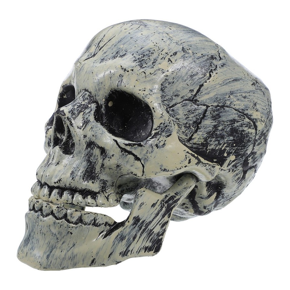 Fake Resin Skull with Moveable Jaw Halloween Decoration for Party ...