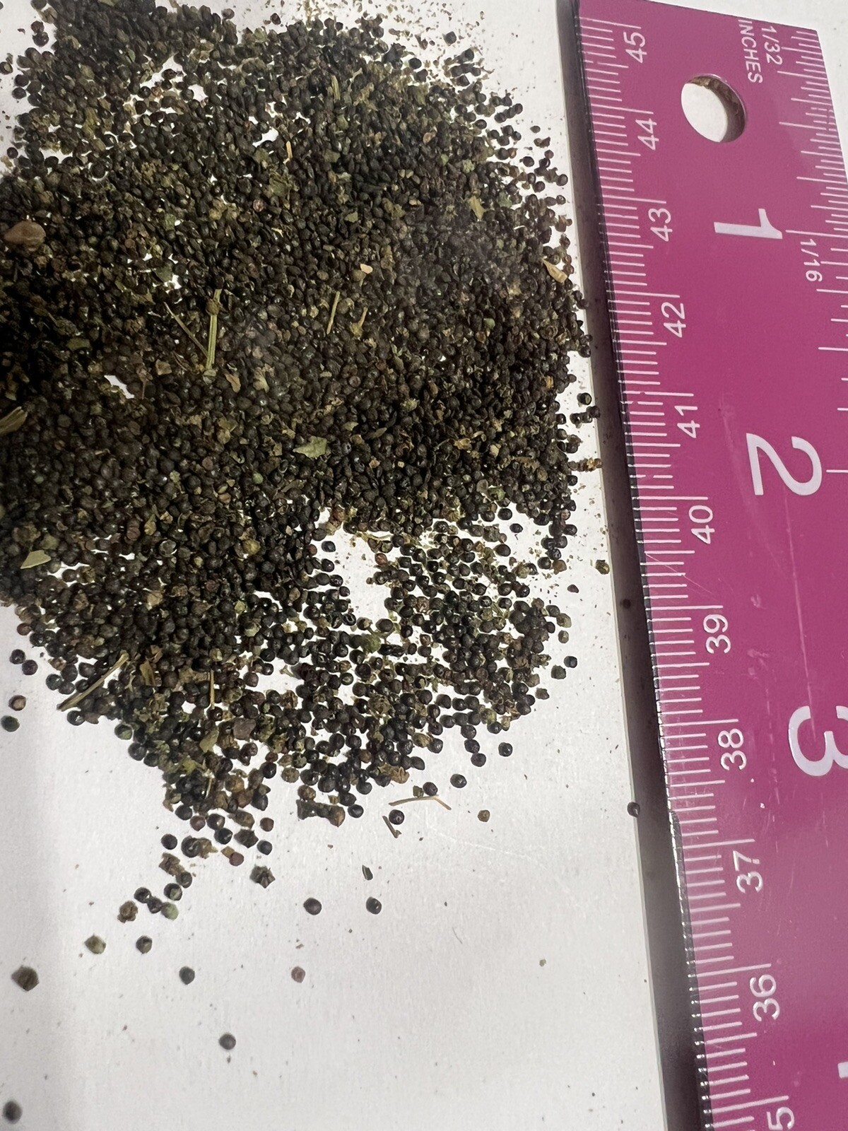 Lambs Quarter, Pigweed, WildSpinach, GooseFoot, 1,000 Seeds NO GMO | eBay