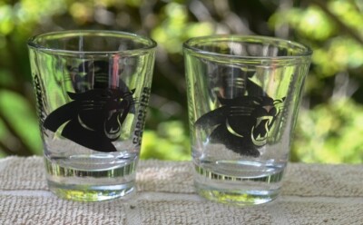 PAIR OF NFL CAROLINA PANTHERS GAME DAY LOGO SHOT GLASSES | eBay