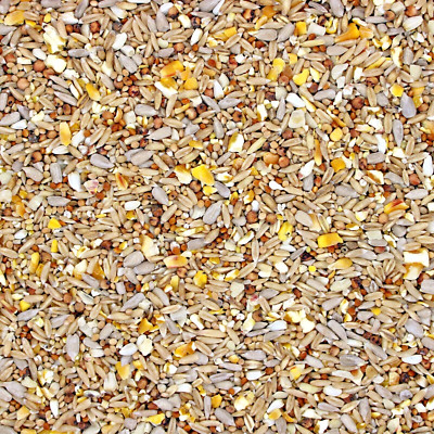 Peanut Power Mix 20kg A Premium Energy Seed And Nut Blend For Wild ...