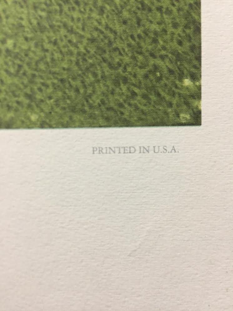 Grant Wood Spring In Town