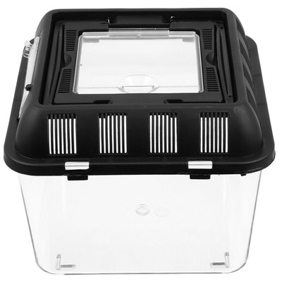 Snake Animals Reptile Terrarium Reptile Tank Turtle Transport Animal ...